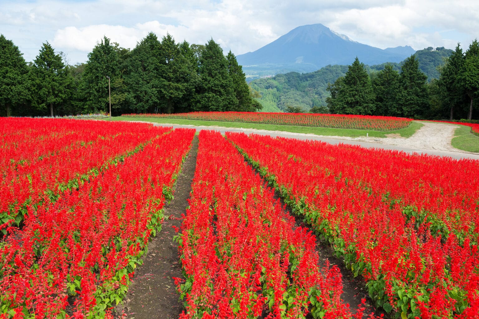 12 Top Attractions In Japan’s Historic Chugoku Region