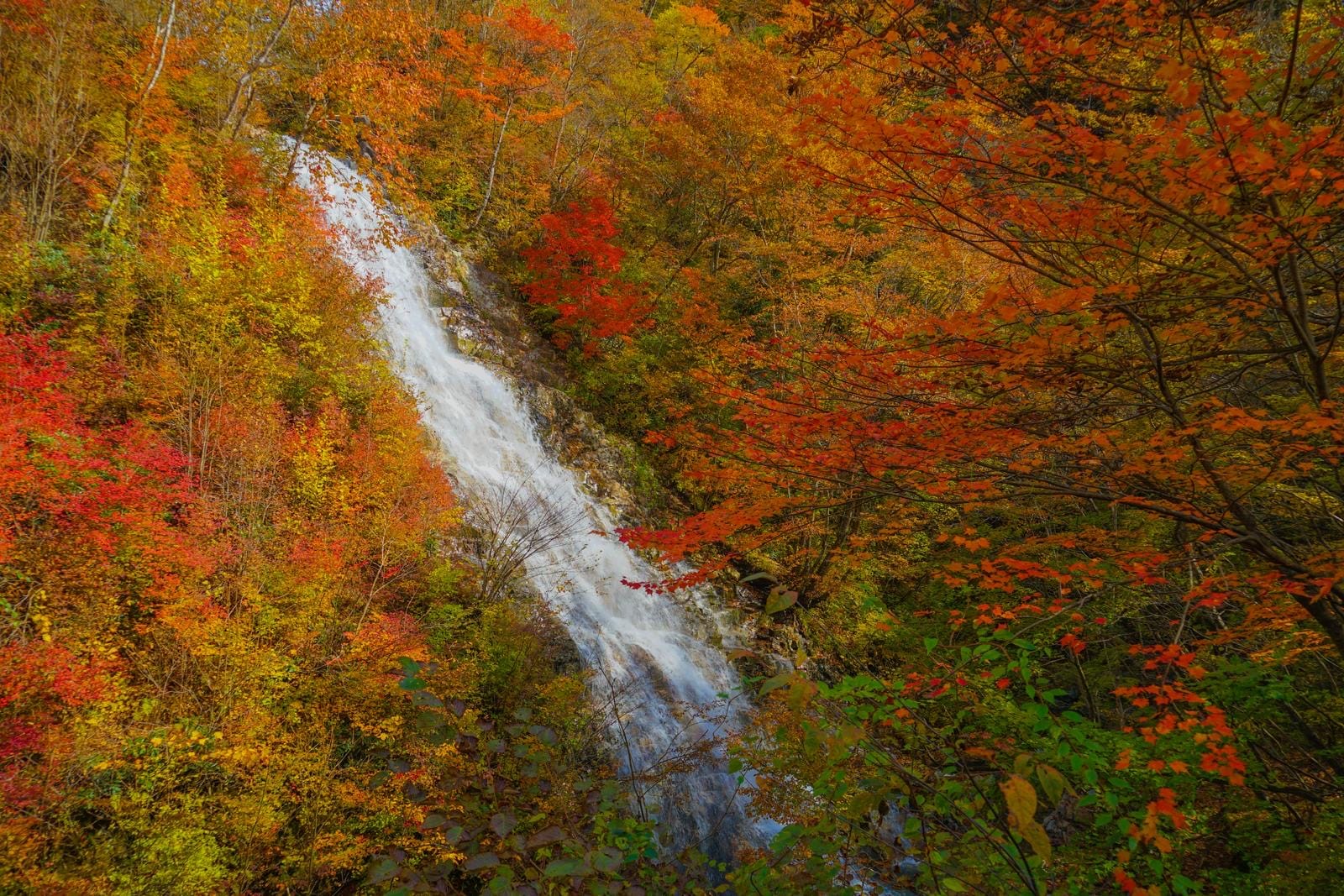 15 Must-Visit Attractions In Japan’s Hidden Gem, Shikoku
