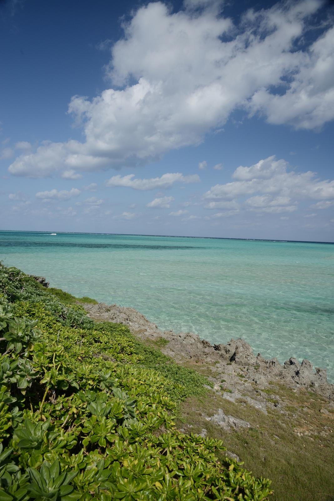 Okinawa Climate Guide: 7 Essential Facts You Should Know