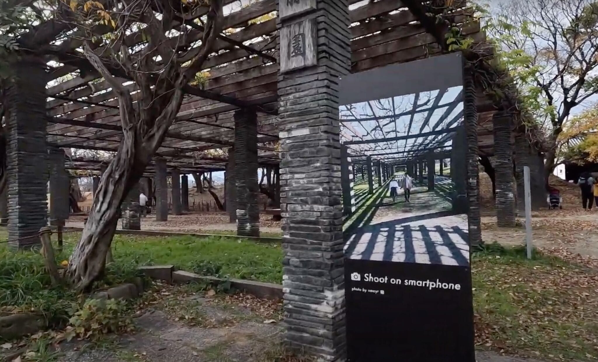 Inside Maizuru Park: Cherry Blossoms, Ruins, And Beyond